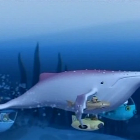 The Albino Humpback Whale | Octonauts Wiki | Fandom