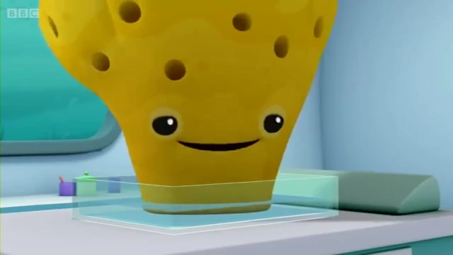 The Sea Sponge | Octonauts Wiki | Fandom
