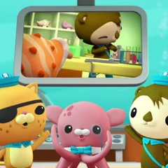 The Cone Snail/gallery | Octonauts Wiki | Fandom