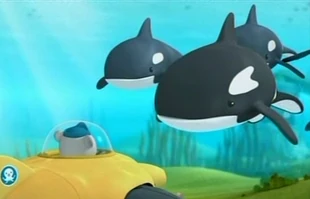 The Orcas | Octonauts Wiki | Fandom
