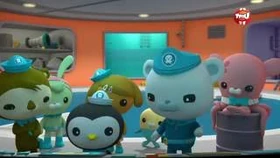 The Baby Gator | Octonauts Wiki | Fandom