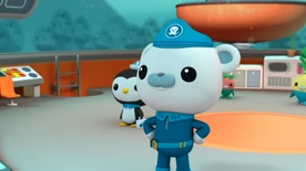 The Whale Shark/gallery | Octonauts Wiki | Fandom
