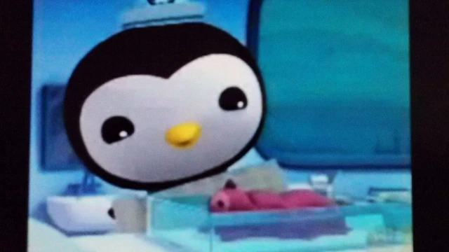 Image - 100 0001.jpg | Octonauts Wiki | FANDOM powered by Wikia