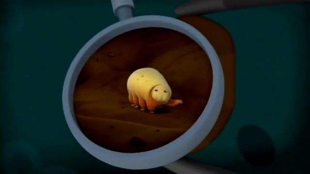 The Water Bears | Octonauts Wiki | FANDOM powered by Wikia The Water Bears | Octonauts Wiki | FANDOM powered by Wikia