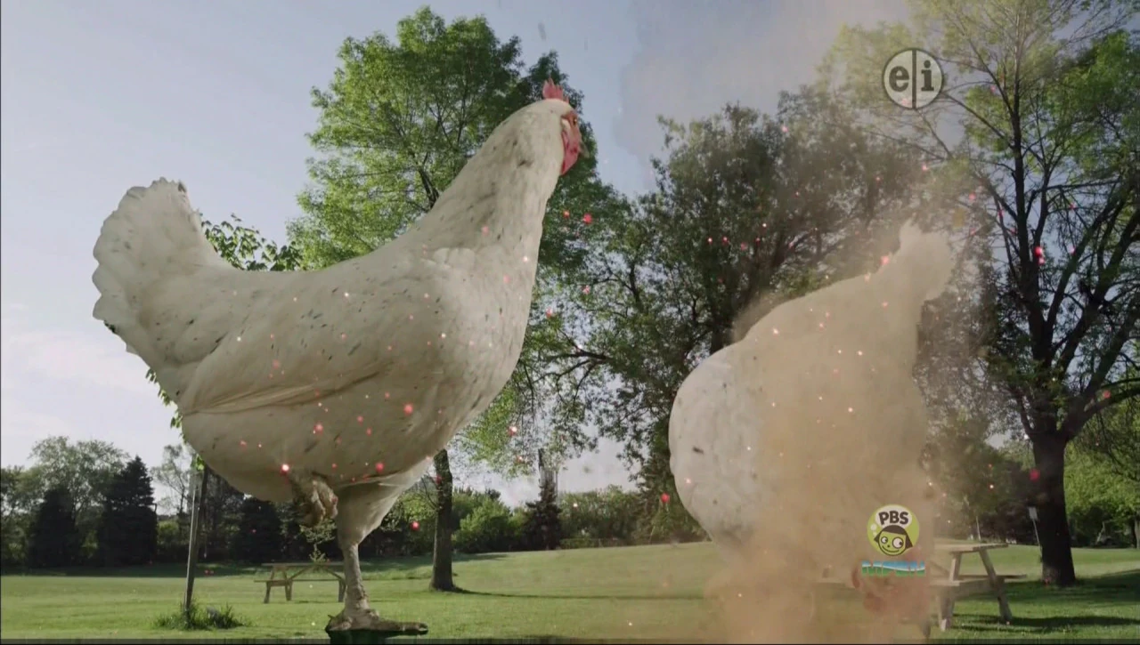 Laser Chickens | Odd Squad Wiki | FANDOM powered by Wikia