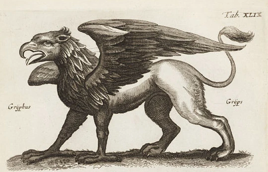 Gryphon | Offbeat Folklore Wiki | Fandom
