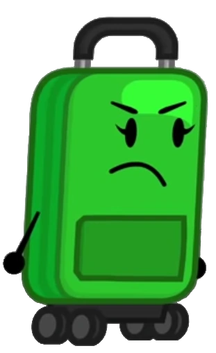 Luggage | Official Fight in Flight Wiki | Fandom