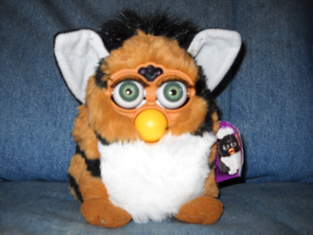 Furby 1998- Tiger | Official Furby Wiki | FANDOM powered by Wikia