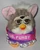 Category:1998 Furby Prototypes | Official Furby Wiki | Fandom