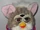 Category:1998 Furby Prototypes | Official Furby Wiki | Fandom