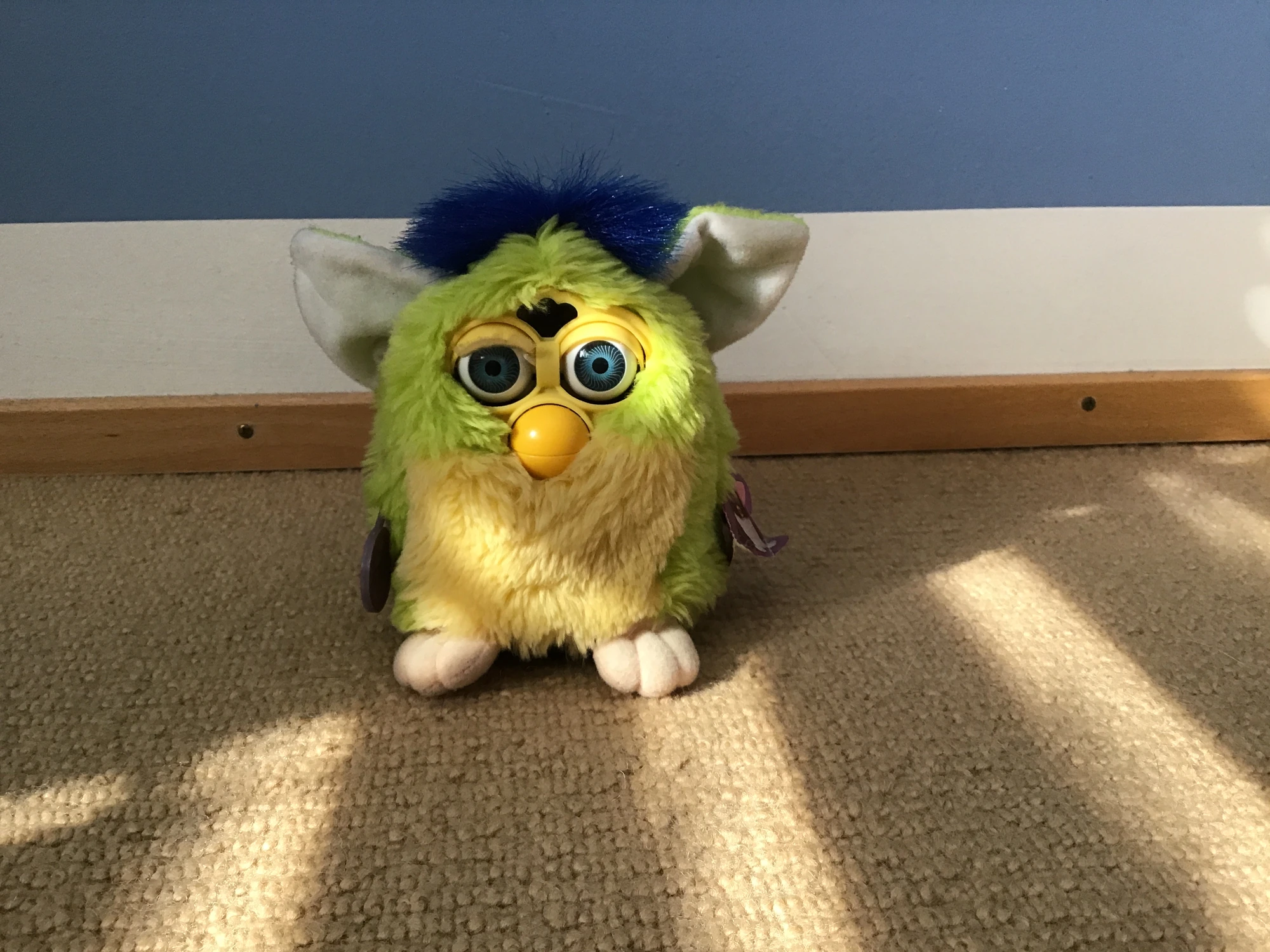 Category:Furby Generation 5 | Official Furby Wiki | Fandom