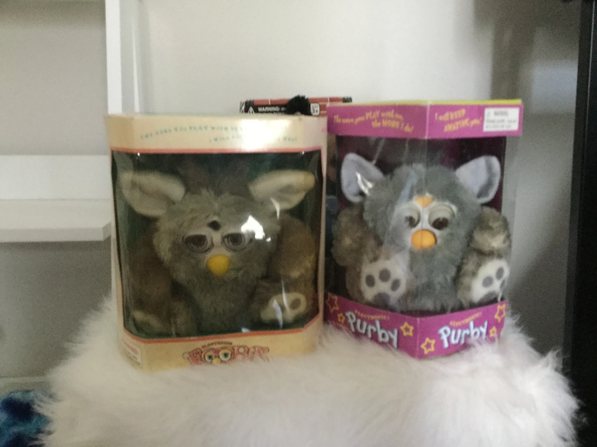 Category:1998 Furby Fakes | Official Furby Wiki | FANDOM powered by Wikia