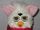 Category:1998 Furby Prototypes | Official Furby Wiki | Fandom