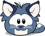 Cat Puffle | Club Penguin Online Wiki | FANDOM powered by Wikia
