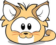 Cat Puffle | Club Penguin Online Wiki | FANDOM powered by Wikia