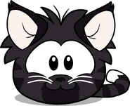 Cat Puffle | Club Penguin Online Wiki | FANDOM powered by Wikia