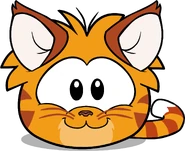 Cat Puffle | Club Penguin Online Wiki | FANDOM powered by Wikia