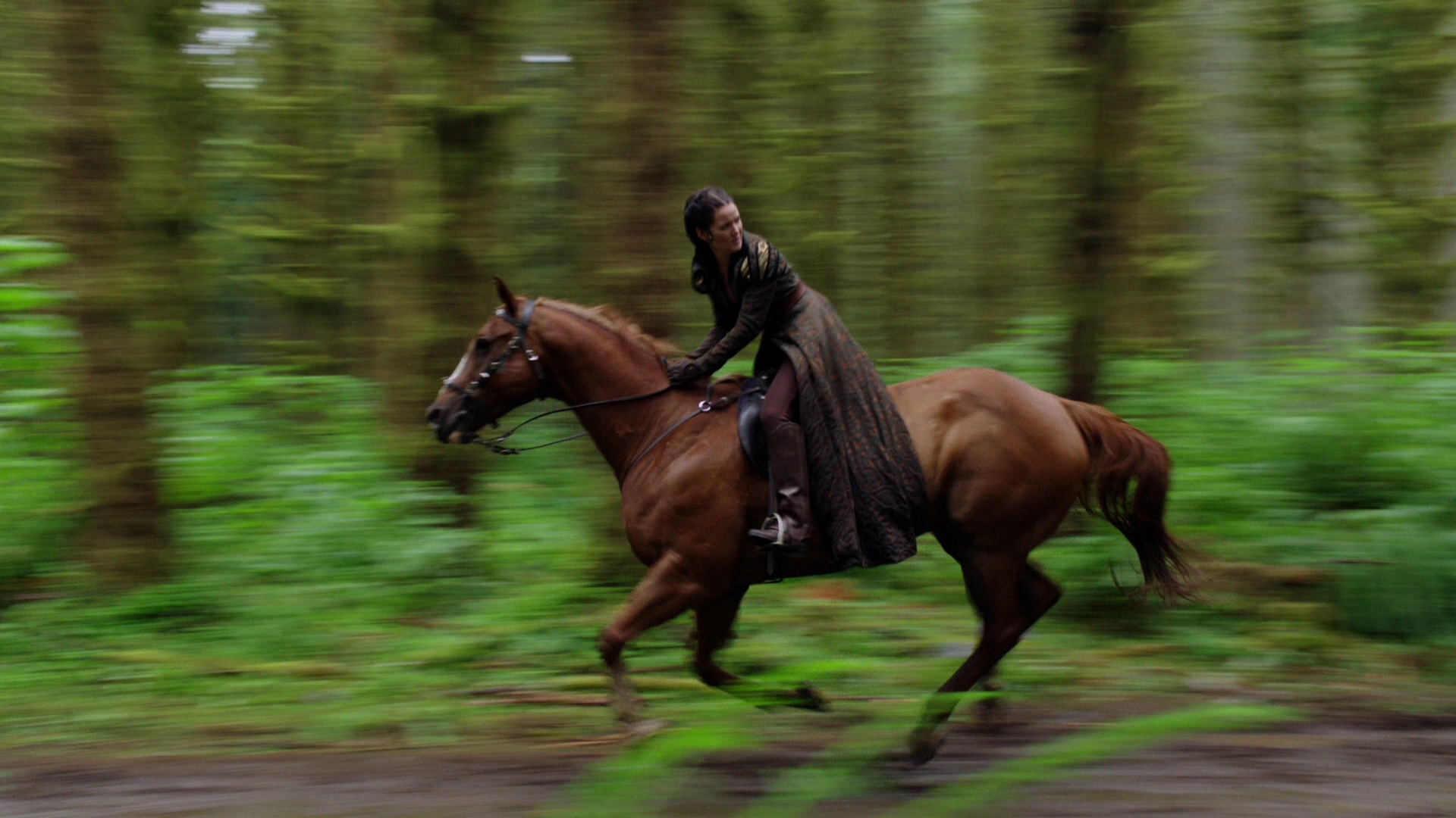 Rocinante | Wiki Once Upon a Time | Fandom