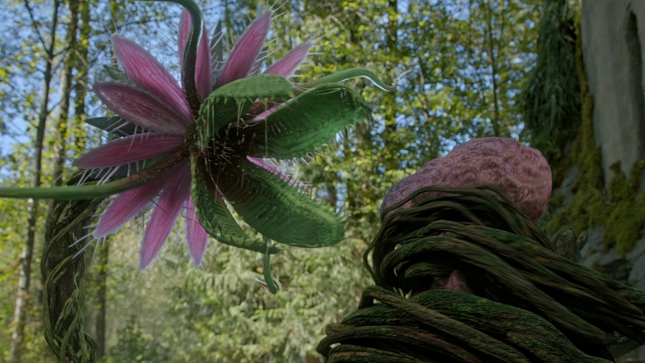 Plante Carnivore Wiki Once Upon A Time Fandom