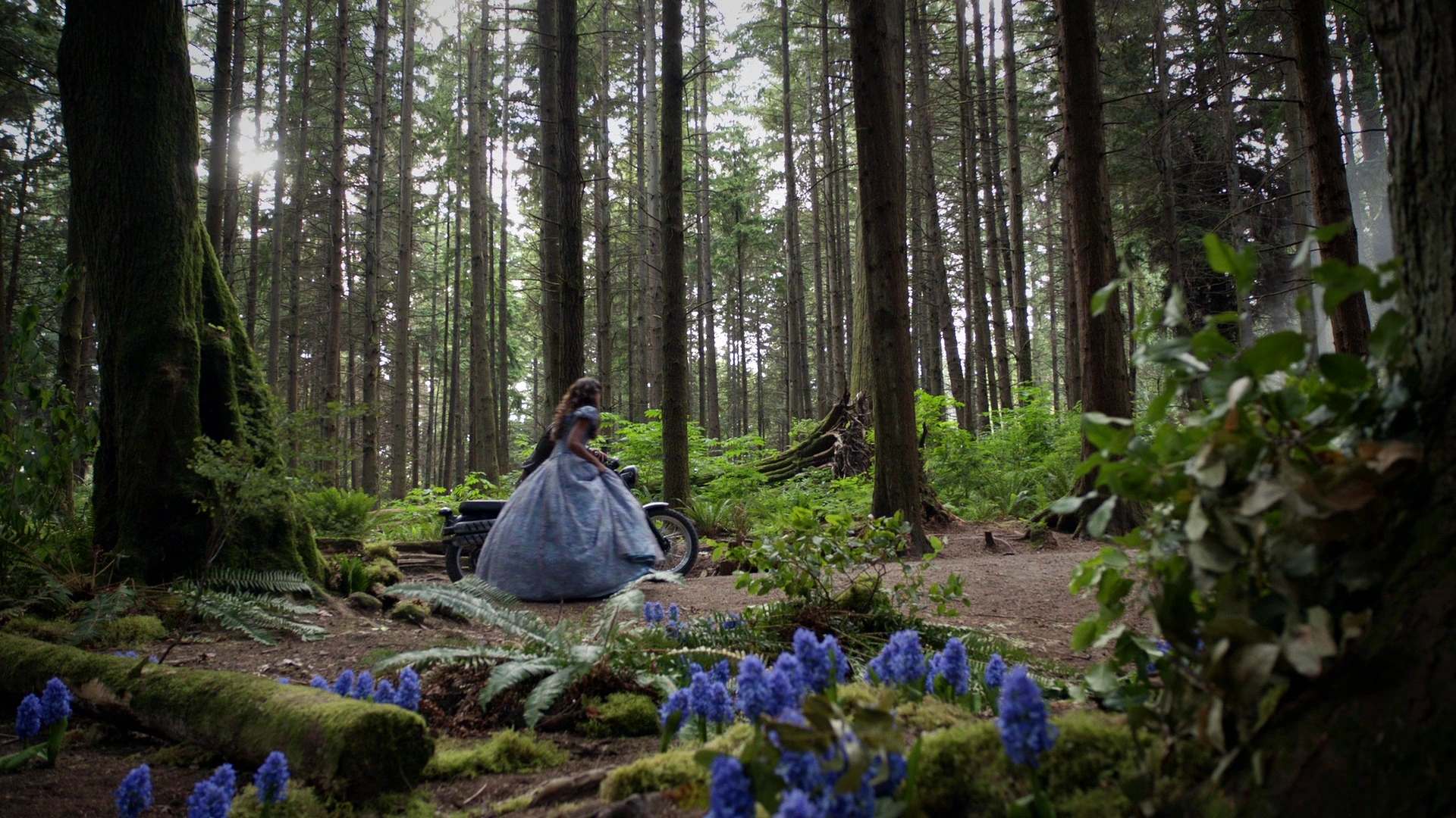 New Enchanted Forest | Once Upon a Time Wiki | FANDOM powered by Wikia