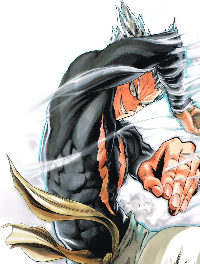 Garo | One-Punch Man Wikia | Fandom