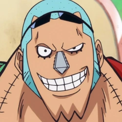 Franky | One Piece and Fairy Tail Wikia | Fandom