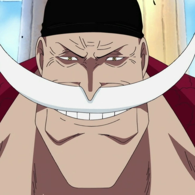 Edward Newgate | One Piece and Fairy Tail Wikia | Fandom
