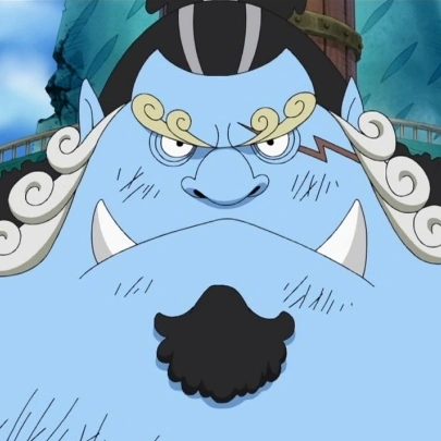 Jinbe | One Piece and Fairy Tail Wikia | Fandom
