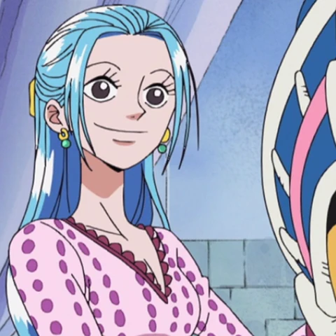 Nefertari Bibi | One Piece Wiki Italia | Fandom