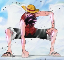 Gomu Gomu no Mi | One Piece wiki | Fandom