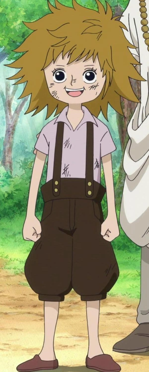 Изображение - Koala.png | One Piece Wiki | FANDOM powered by Wikia