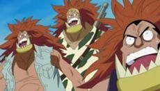 Little Oars Jr. | One Piece Wiki | FANDOM powered by Wikia