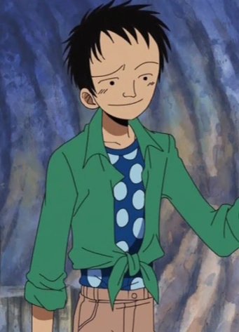 Akimi | One Piece Wiki Italia | FANDOM powered by Wikia