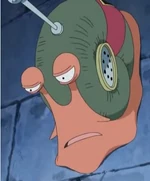 Den Den Mushi | One Piece Wiki | FANDOM powered by Wikia