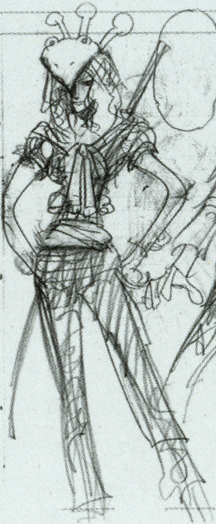 Miss Tuesday | One Piece Wiki | Fandom