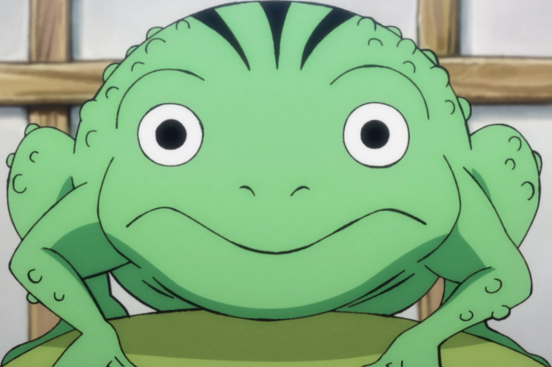 Gama Pyonnosuke | One Piece Wiki | Fandom