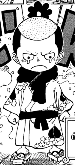 Kozuki Momonosuke | Wikia One Piece | FANDOM powered by Wikia