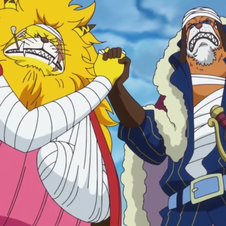 Piratas Heart | One Piece Wiki | FANDOM powered by Wikia