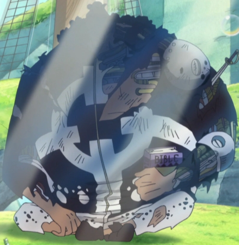 Cyborgi | One Piece Wiki | Fandom