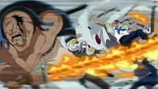 Fossa | One Piece Wiki | Fandom