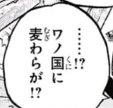 Volume 91 | One Piece Wiki | FANDOM powered by Wikia