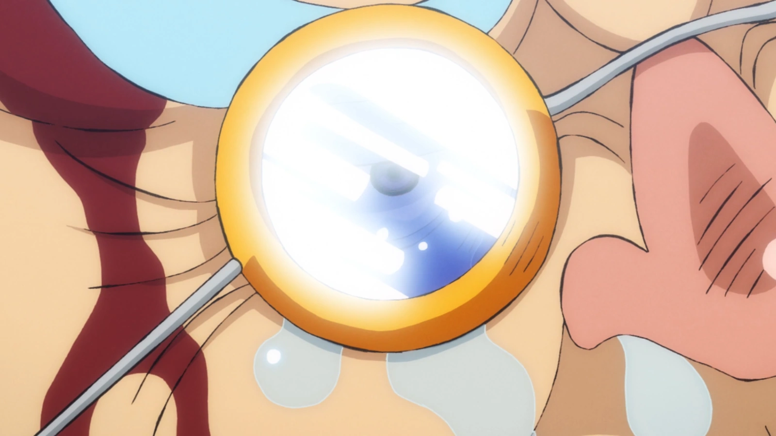 Hyogoro | One Piece Encyclopédie | Fandom