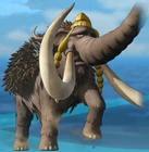 Jack | One Piece Wiki | Fandom