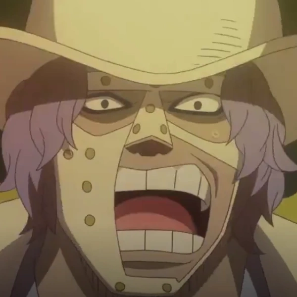 Cipher Pol | Wikia One Piece | Fandom