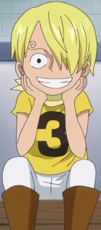 Sanji | One Piece Wiki | Fandom