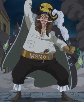 Barba Rosa | One Piece Wiki | Fandom
