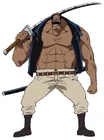 Fossa | One Piece Wiki | Fandom