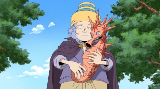 Noko | One Piece Wiki | Fandom