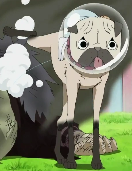 Saru | One Piece Encyclopédie | Fandom