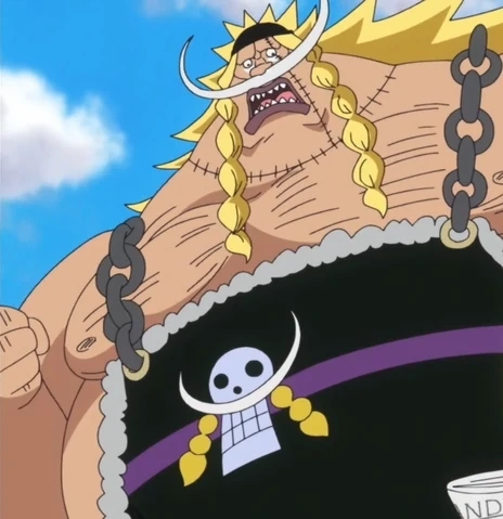 Edward Weevil | Wikia One Piece | Fandom